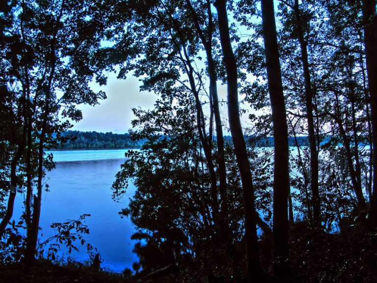 Lake Warren - Lake Warren State Park - Hampton County