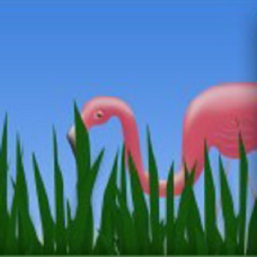 Lake Rabon - Laurens County