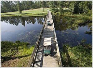 Lake Juniper - Cheraw State Park - Chesterfield County