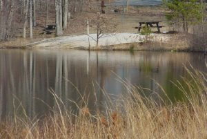Lake Warren - Lake Warren State Park - Hampton County