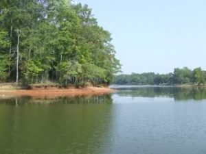 Lake Secession - Abbeville County