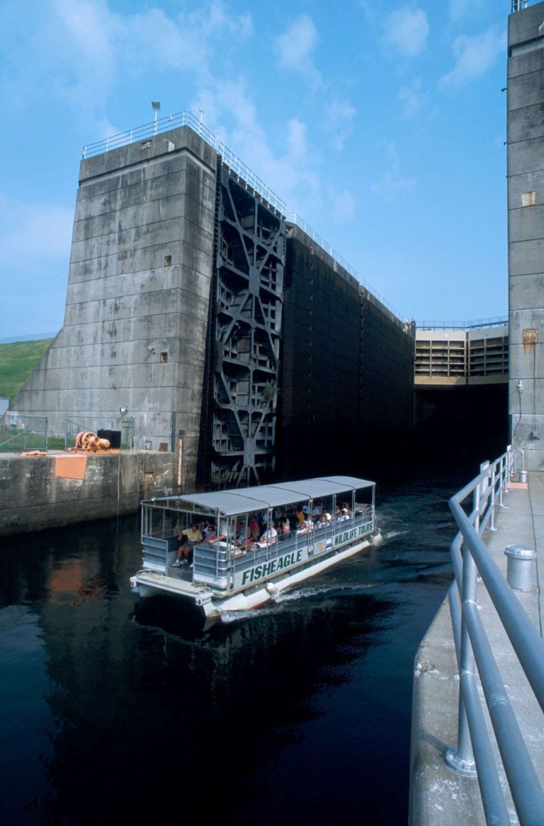 Santee Cooper Lakes - Marion and Moultrie