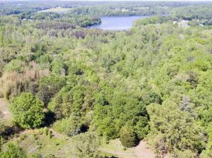 Lake Robinson - Greenville County