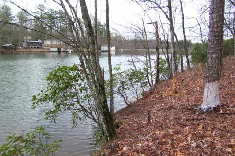 Wonderful Lake Becky