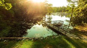 Lake Rabon - Laurens County